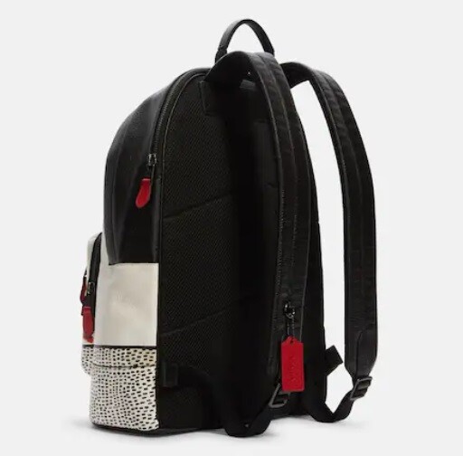 Coach Genuine Disney Mickey Mouse X Keith Haring West Backpack | eBay