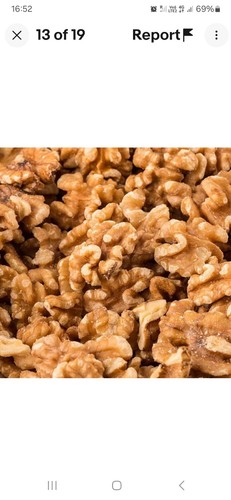 Organic Homegrown Walnuts Fresh, Straight From Garden Trees | eBay UK
