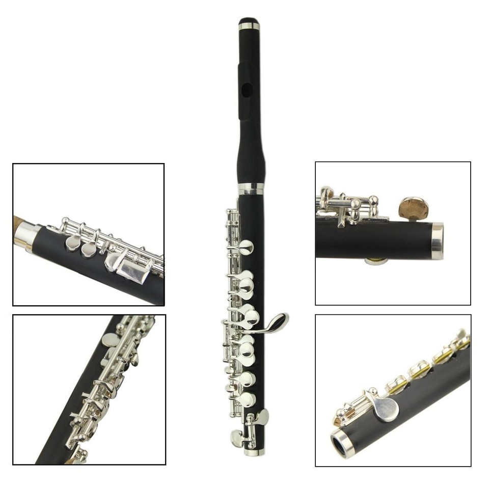 Brand New Professional Piccolo C-key Piccolo Instrument with Box --- | eBay