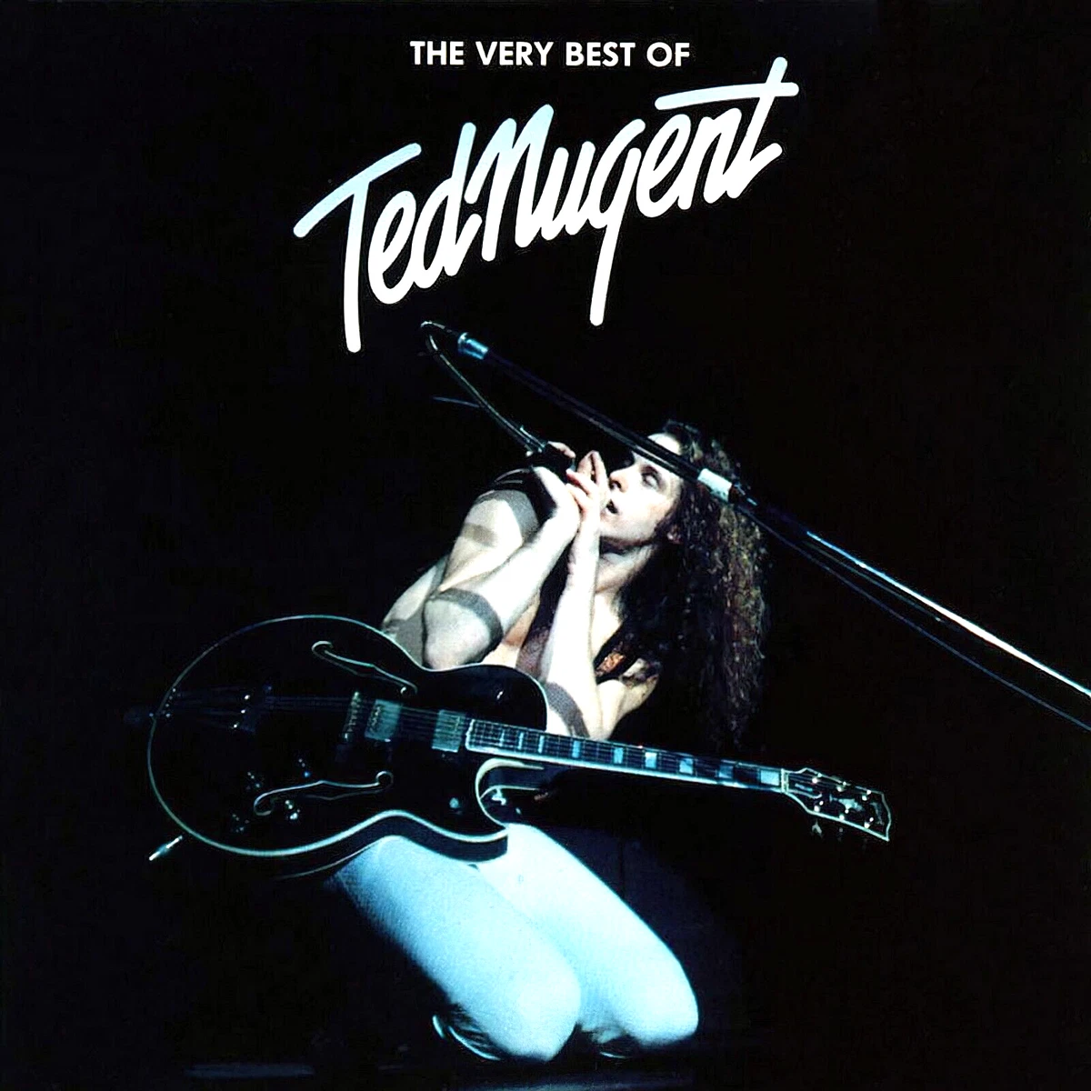 Ted Nugent Album Covers