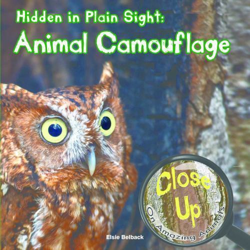 Hidden in Plain Sight : Animal Camouflage by Elsie Belback (2014 ...