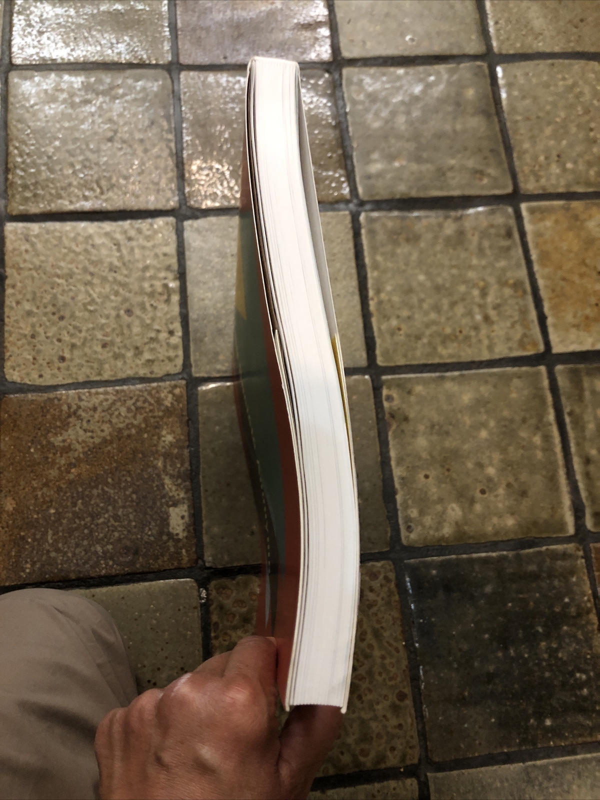 The Société Anonyme : Modernism for America by Ruth L. Bohan (Trade ...