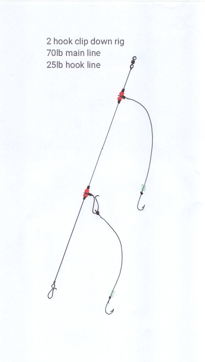 4 X Two hook clip down sea fishing rig made with No1 Aberdeen hook's ...