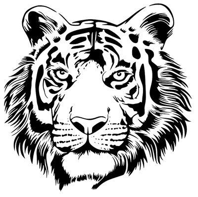 Tiger vinyl Decal / Sticker | eBay UK