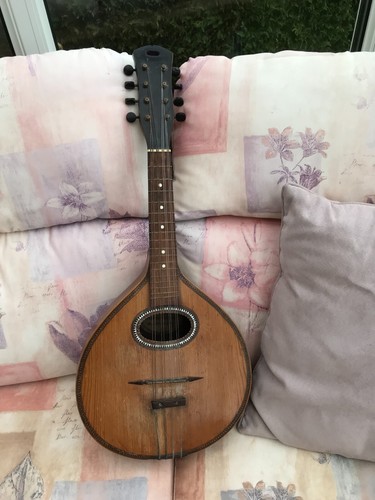 Vintage The Dulcetta Flat-Back Mandolin | eBay