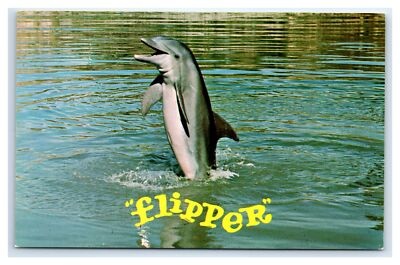 Miami, FL Postcard- FLIPPER DOLPHIN Ivan Tors MGM NBC Tail Walking ...