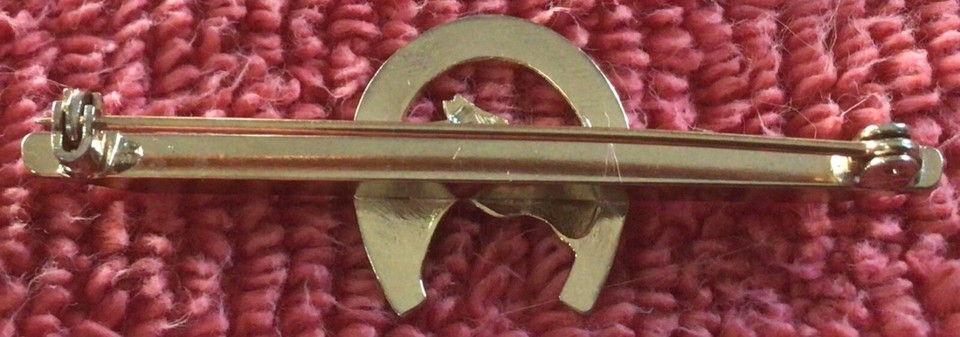 Fox Hunt Hunting Horse Head Horseshoe and Whip Costume Gold Stock Pin ...