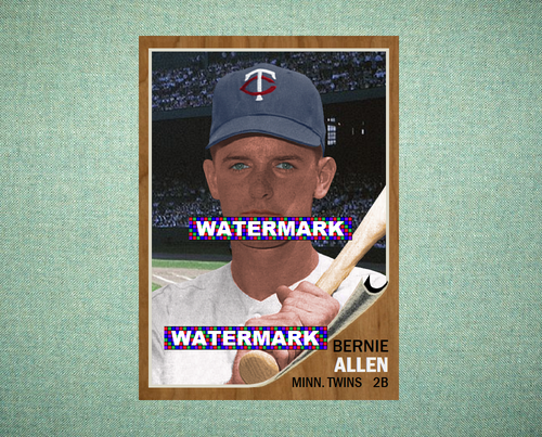 Bernie Allen Minnesota Twins 1962 Style Custom Baseball Art Card | eBay