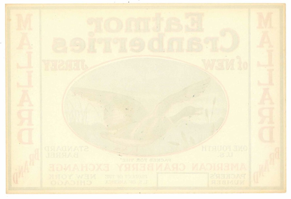 MALLARD, **An Original Cranberry Crate Label**, Duck, Bird, Waterfowl ...