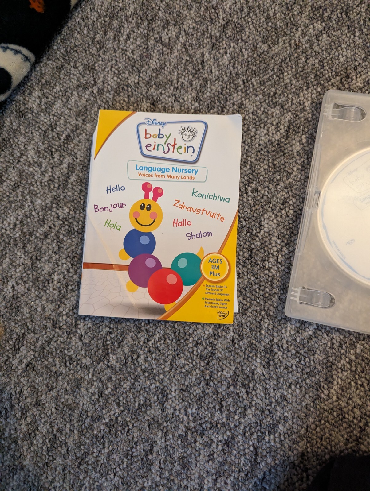 Disney Baby Einstein - Gift Collection (Box Set) (DVD, 2008 ...