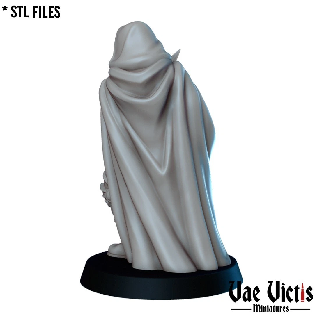 Pathfinder Human Assassin