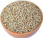 Eva Impex Bajra Grain Whole - Pearl Millet (Kambhu) | eBay UK