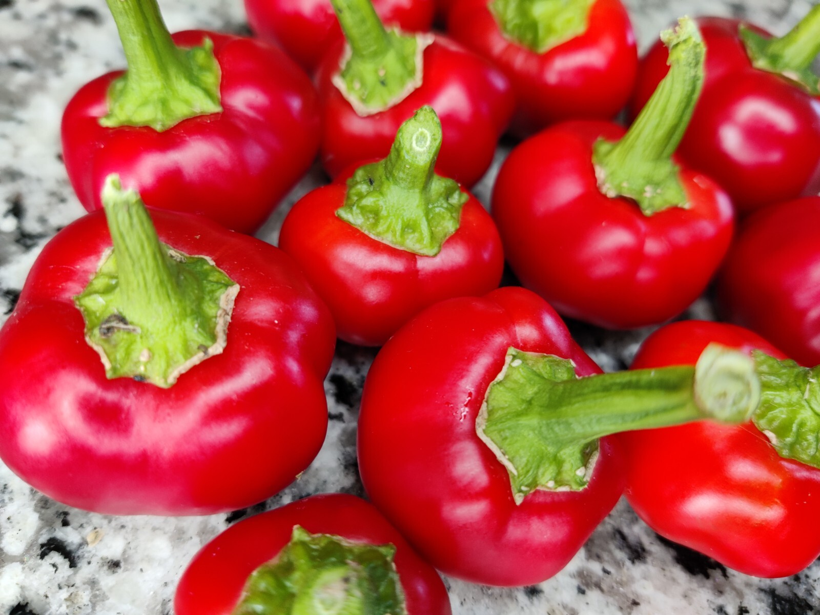 Cherry Bomb Pepper Seeds 🇺🇸 USA Grown 🇺🇸 | eBay