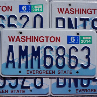 WASHINGTON LICENSE PLATES - EVERGREEN STATE Embossed Graphic License ...