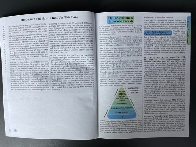 The Holistic Guide to Wellness : Herbal Protocols for Common Ailments ...