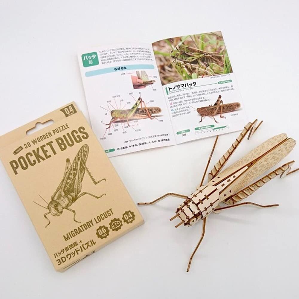 Tsukurun-desu® Japan Official Sales, Pocket Bugs, (Tonosama Grasshopper ...