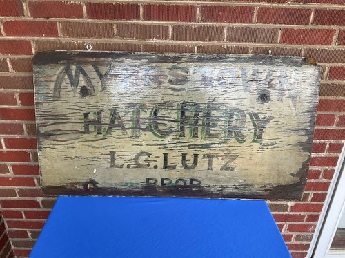 Vintage Myerstown Hatchery Painted Wood Sign | eBay