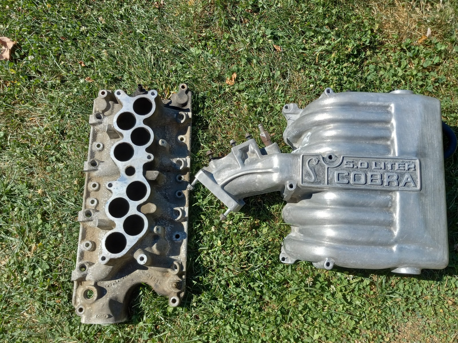 1994-1995 Ford Mustang 5.0L Cobra Intake Manifold GT40 302 SVT EFI | eBay