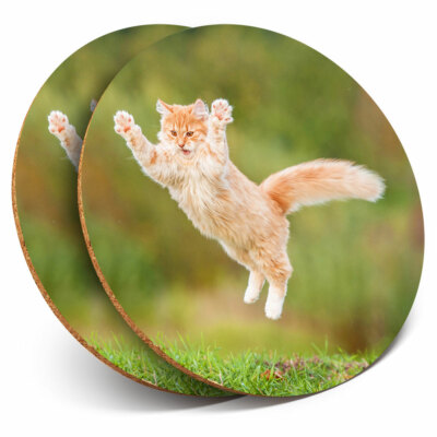 2 x Coasters - Jumping Ginger Cat Kitten Home Gift #2601 | eBay UK