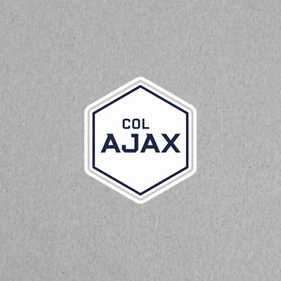 Ajax Logo Sticker - Web Development Programming Decal #5799 | eBay