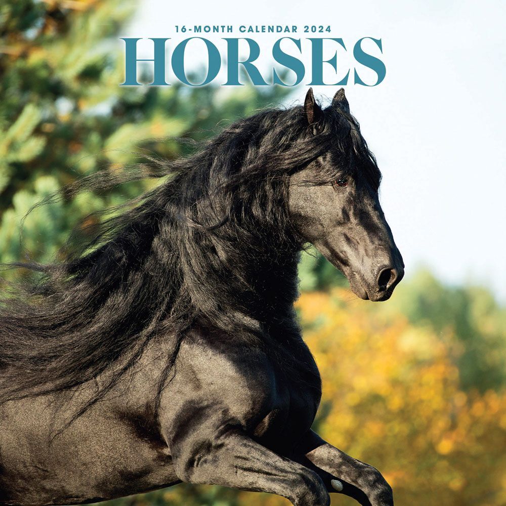 Carousel Calendars, Horses 2024 Wall Calendar - Soluções e tratamento ...