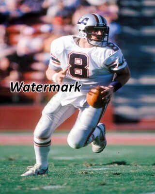 USFL QB Steve Young LA Express Game Action Color 8 X 10 Photo Picture ...