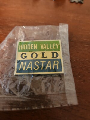 Holiday Valley Ski Area Gold NASTAR badge pin | eBay