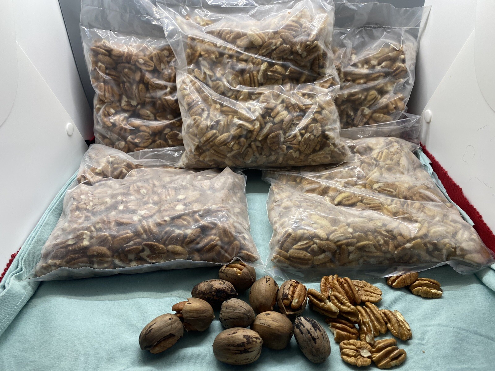SHELLED PECANS 1 POUND OF QUALITY FRESH OKLAHOMA PECANS #24-100 | eBay