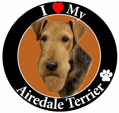 I love my Airedale Terrier Magnet (Use on vehicle,frig,locker, file ...