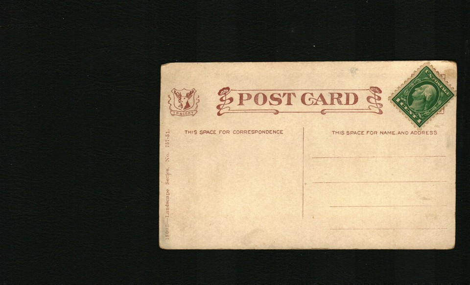 T P & Co. N.Y. Postcard Cows Landscape Series 757-51 1900's Washington ...