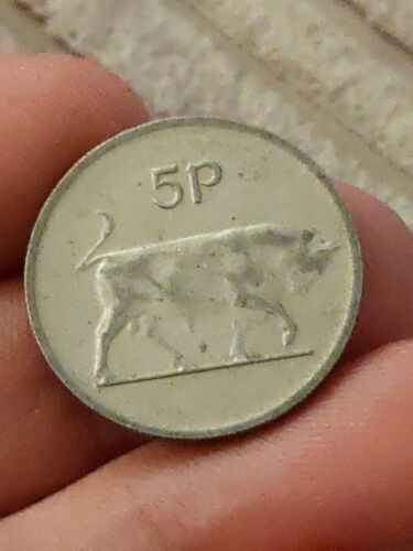 1976 IRISH LARGE 5p coin five pence HARP and BULL Eire Ireland T106 | eBay