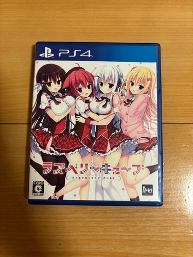 Raspberry Cube PS4 Sony PlayStation 4 iMel Video Game with Case ...