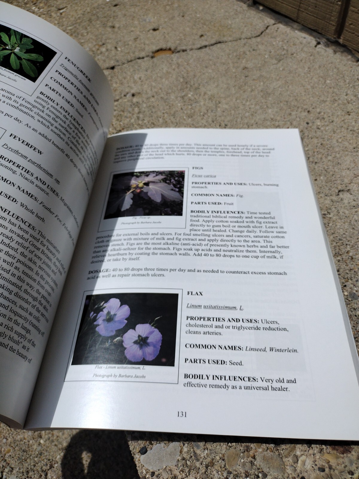 Herbal Extracts Build Health Liquid Herbs Dr. A.B. Howard Exc Cnd Rare ...