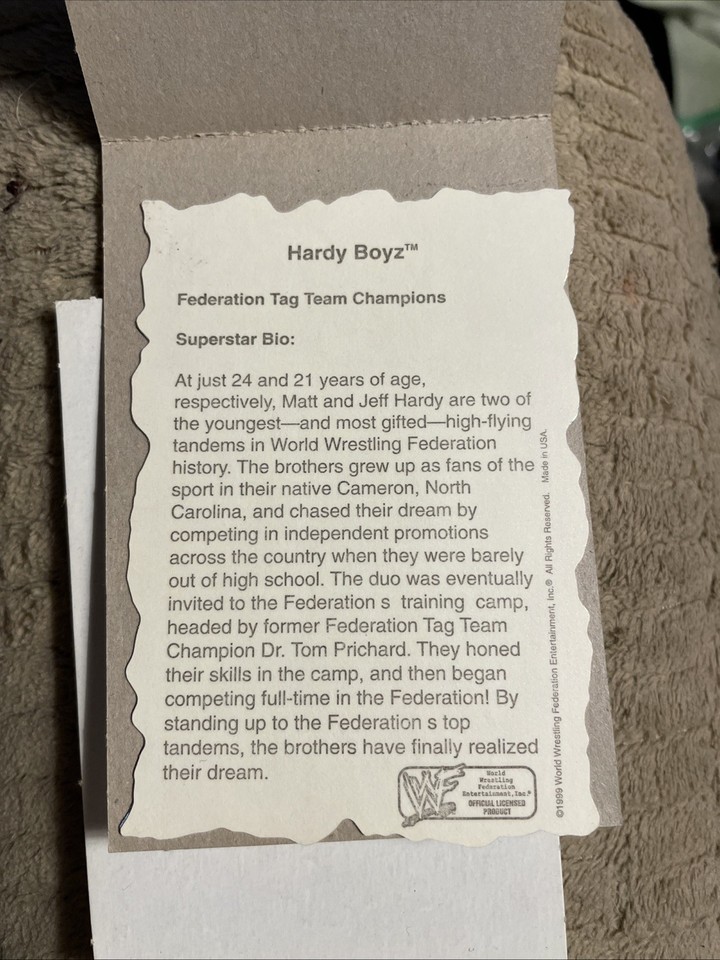 Vtg 2000 WWF HARDY BOYZ Vending Machine Prism Sticker Matt- Jeff Hardy ...