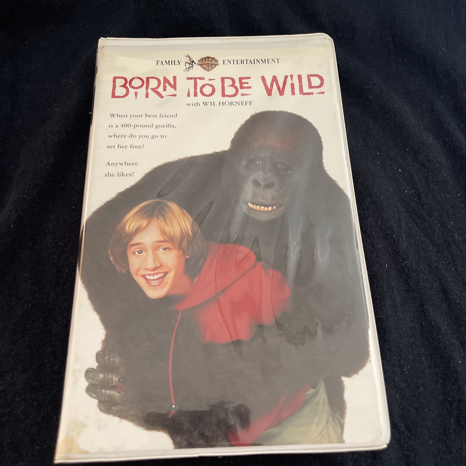 Born to Be Wild (VHS, 1995, Clam Shell) 85391450030 | eBay