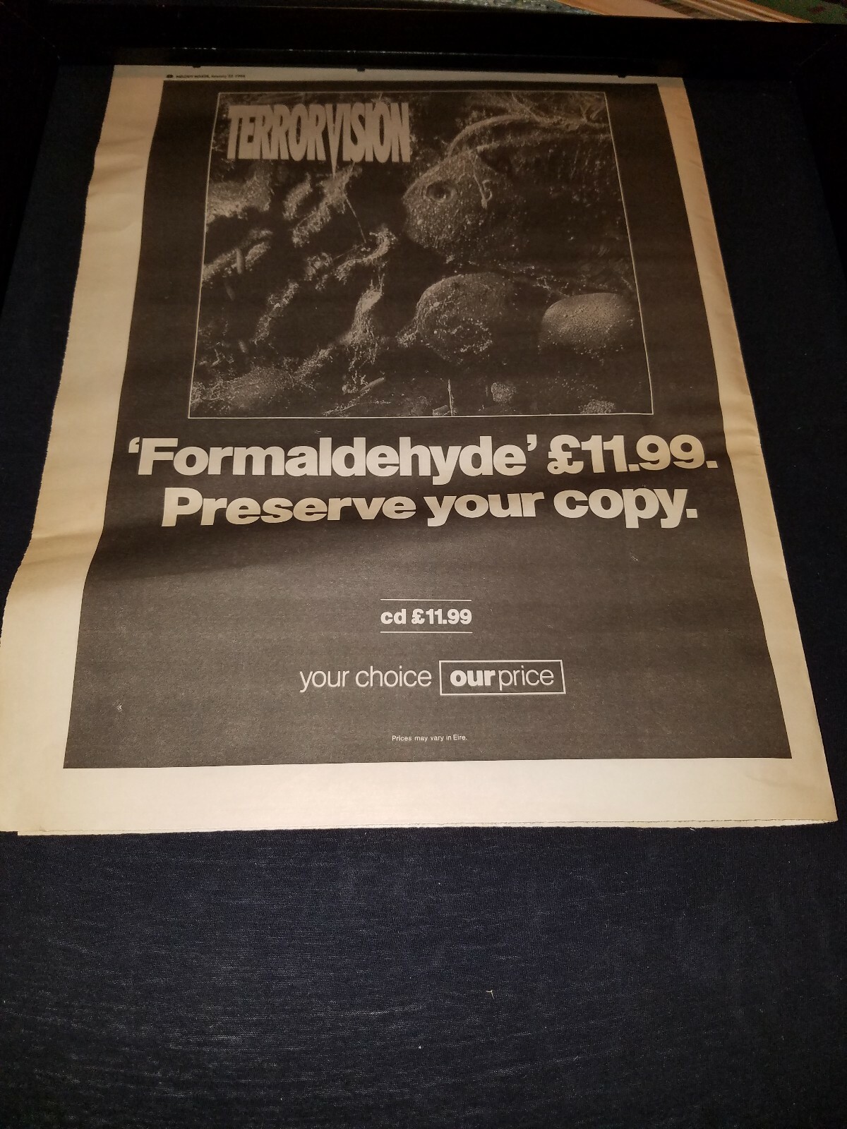 Terrorvision Formaldehyde Rare Original UK Promo Poster Ad Framed! | eBay