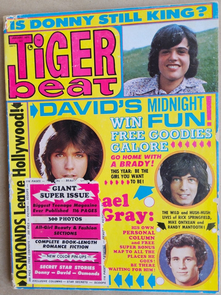 5 Tiger Beat Magazines 1 - 1971, 3 - 1973, 1 Jan 1975 | eBay