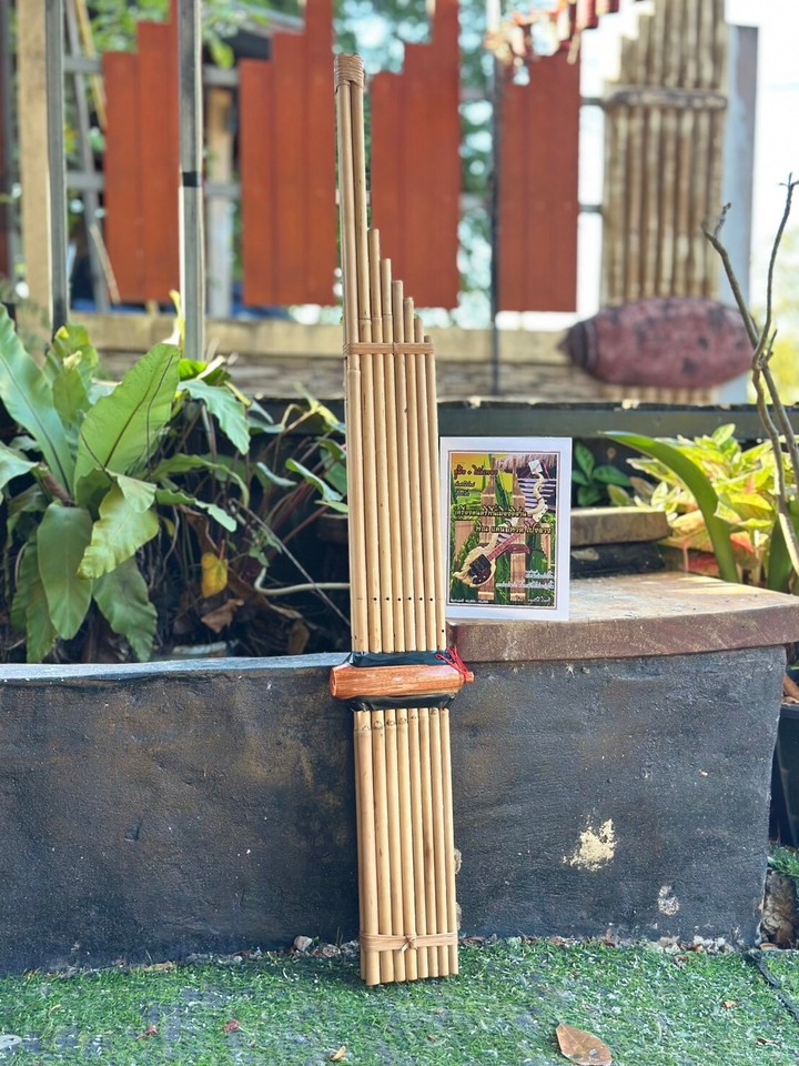 Khaen Bamboo Thai Musicial Instrument Mouthorgan Professional Dm Key | eBay