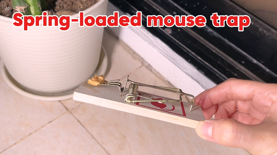 16-24pk Wooden Mouse Traps Traditional Mice Rodent Pest Control Trap ...