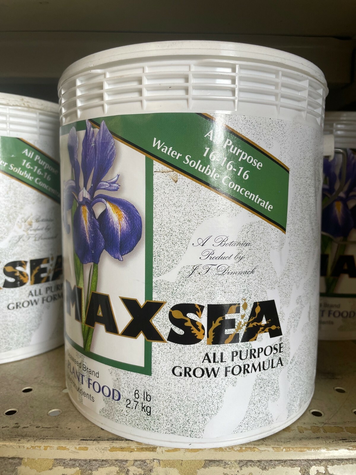 Maxsea All Purpose 16-16-16 Plant Food 6 lbs - water soluble seaweed ...