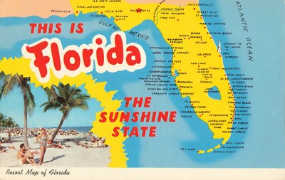 Postcard Sunshine State Florida | eBay