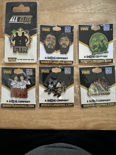 Tag Team Pin Lot of 6 Tag Teams See Description | eBay