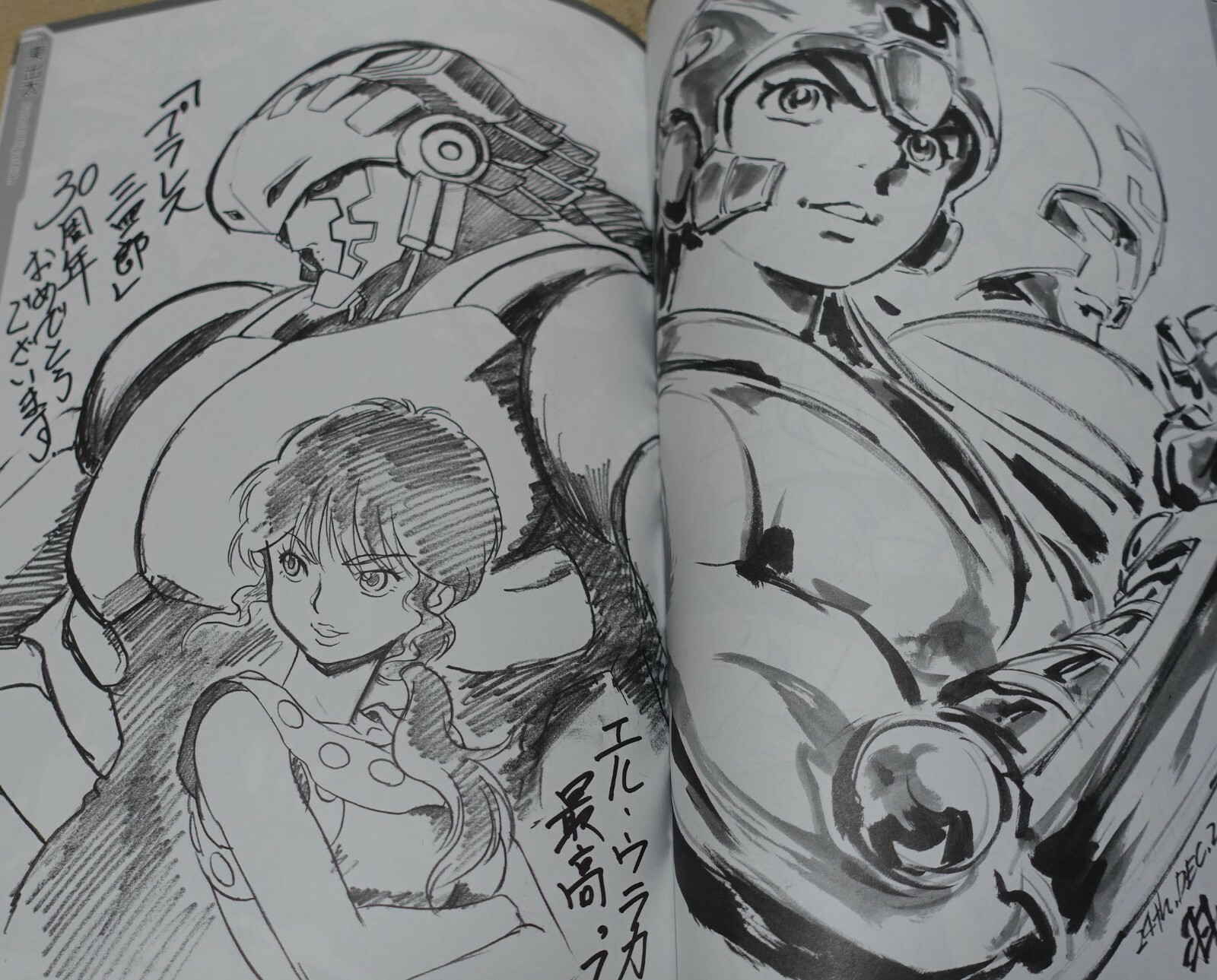 Plawres Sanshiro 30th Anniversary Official Fan Art Book | eBay