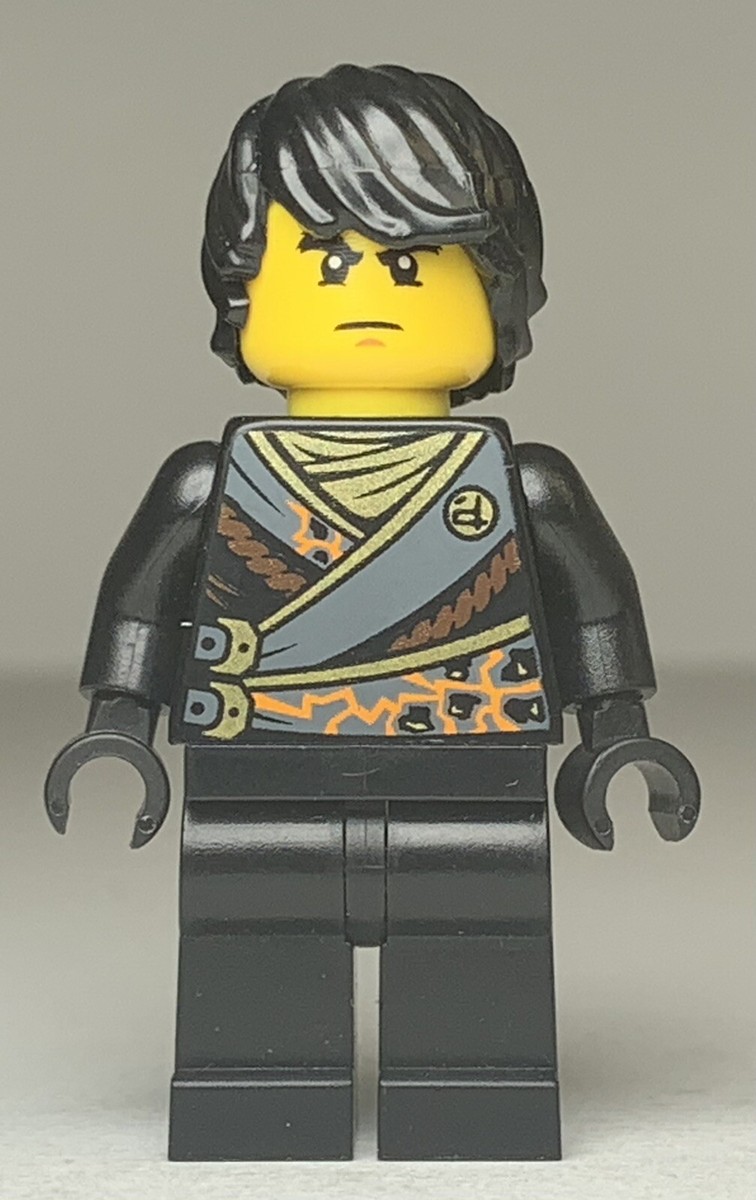 Lego Ninjago Rebooted Cole