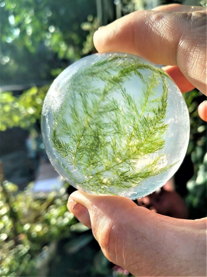Handmade Fern Botanical Soap Hypoallergenic 6" LARGE Shower Bath Round ...