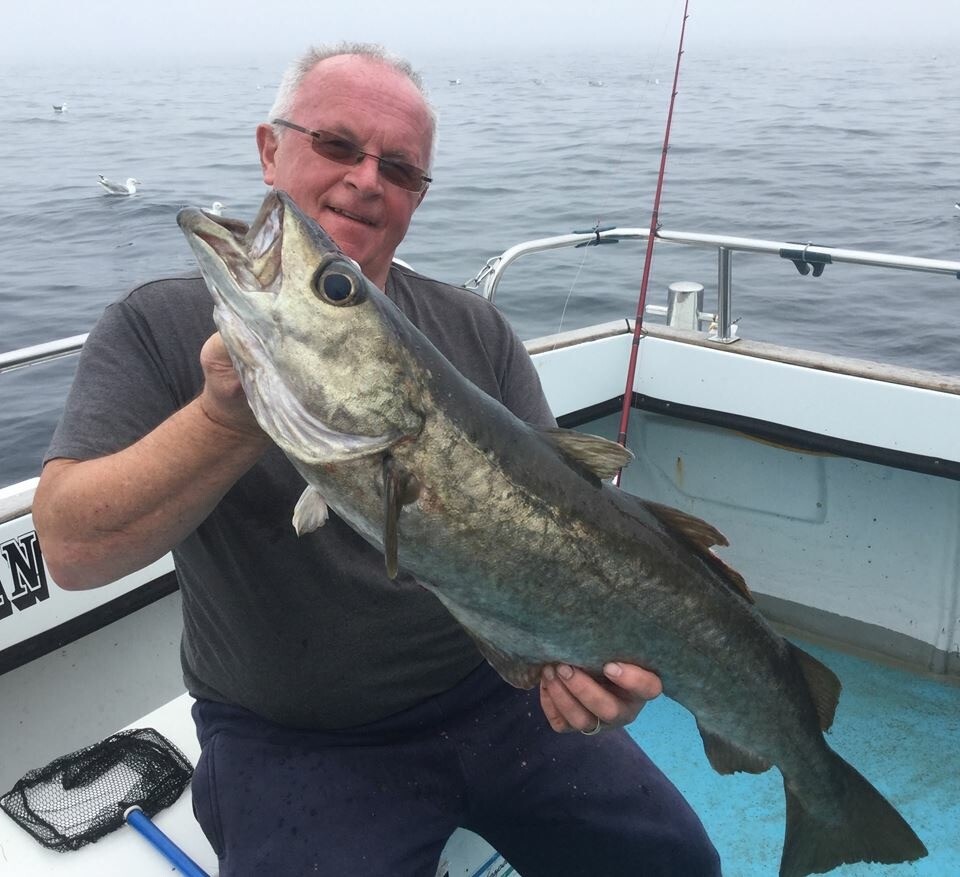 SANDEEL FISHING EDDYSTONE LURES 115mm EDDYSTONE EEL BASS COD POLLACK ...