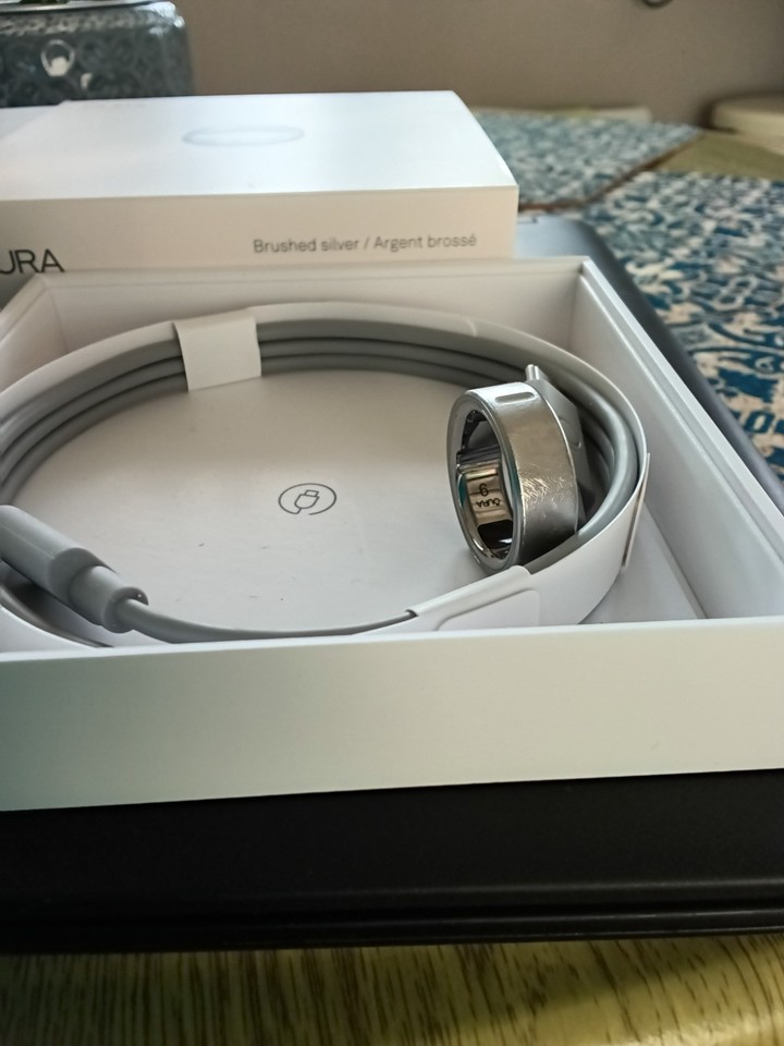 Oura Ring Gen 4 Brushed Silver Size 9 – Used, Minor Scratches, Fully ...