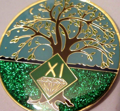 Narcotics Anonymous NA Tree Green 11 Year Medallion Gold Black | eBay