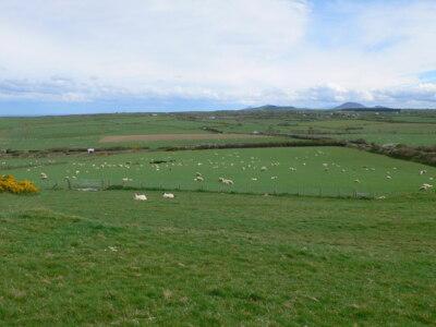 Photo 6x4 Grazing land near Porth Oer Anelog As seen from Mynydd Carreg ...