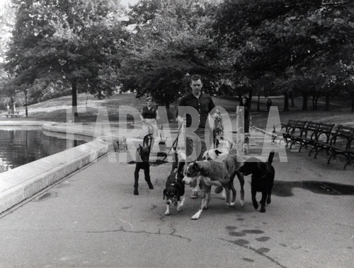 Photo de presse vintage Jim Buck, dogsitter a New York, tirage 21 x 27 ...
